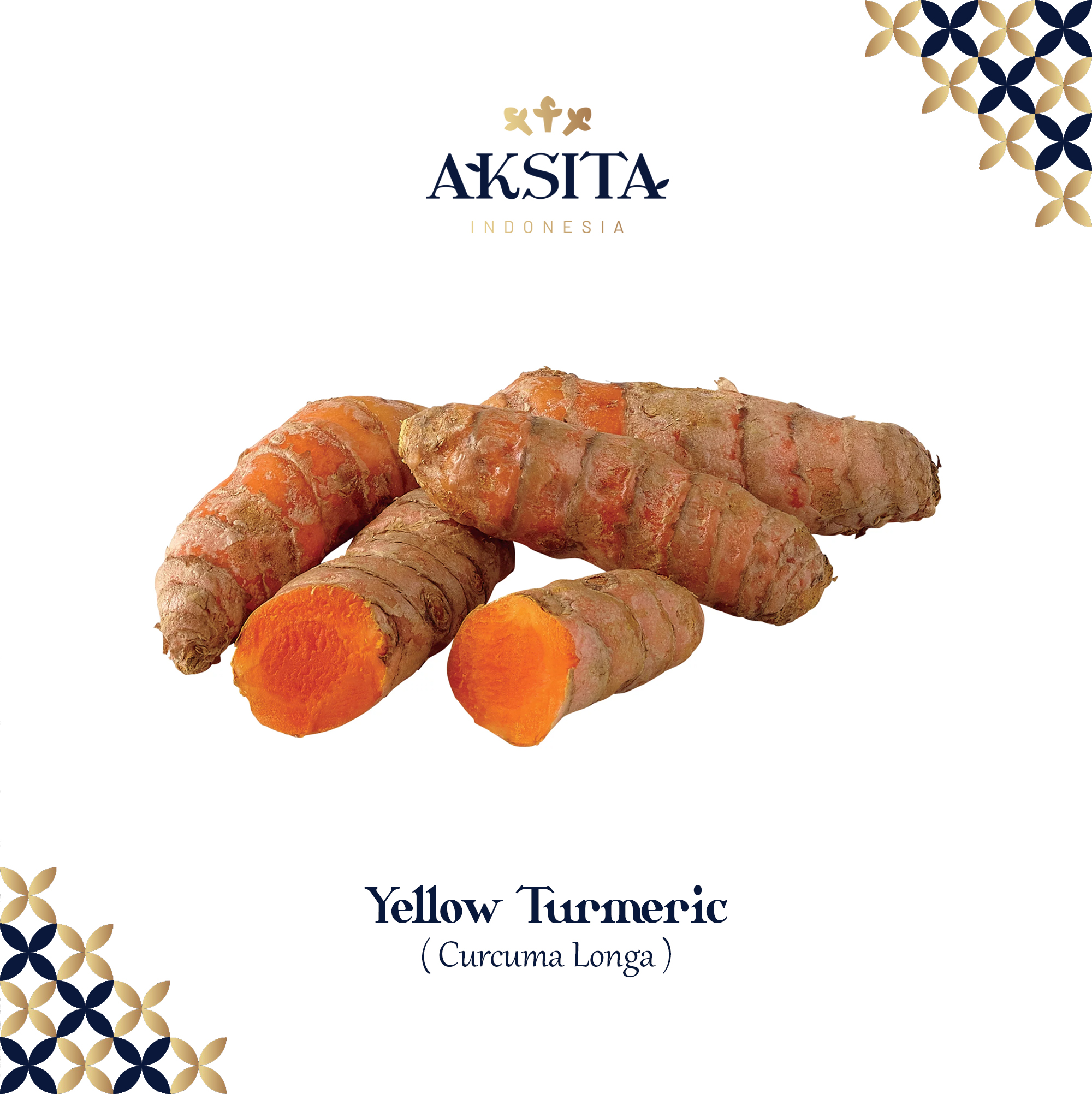 Yellow Turmeric ( Curcuma Longa ) | Inaexport