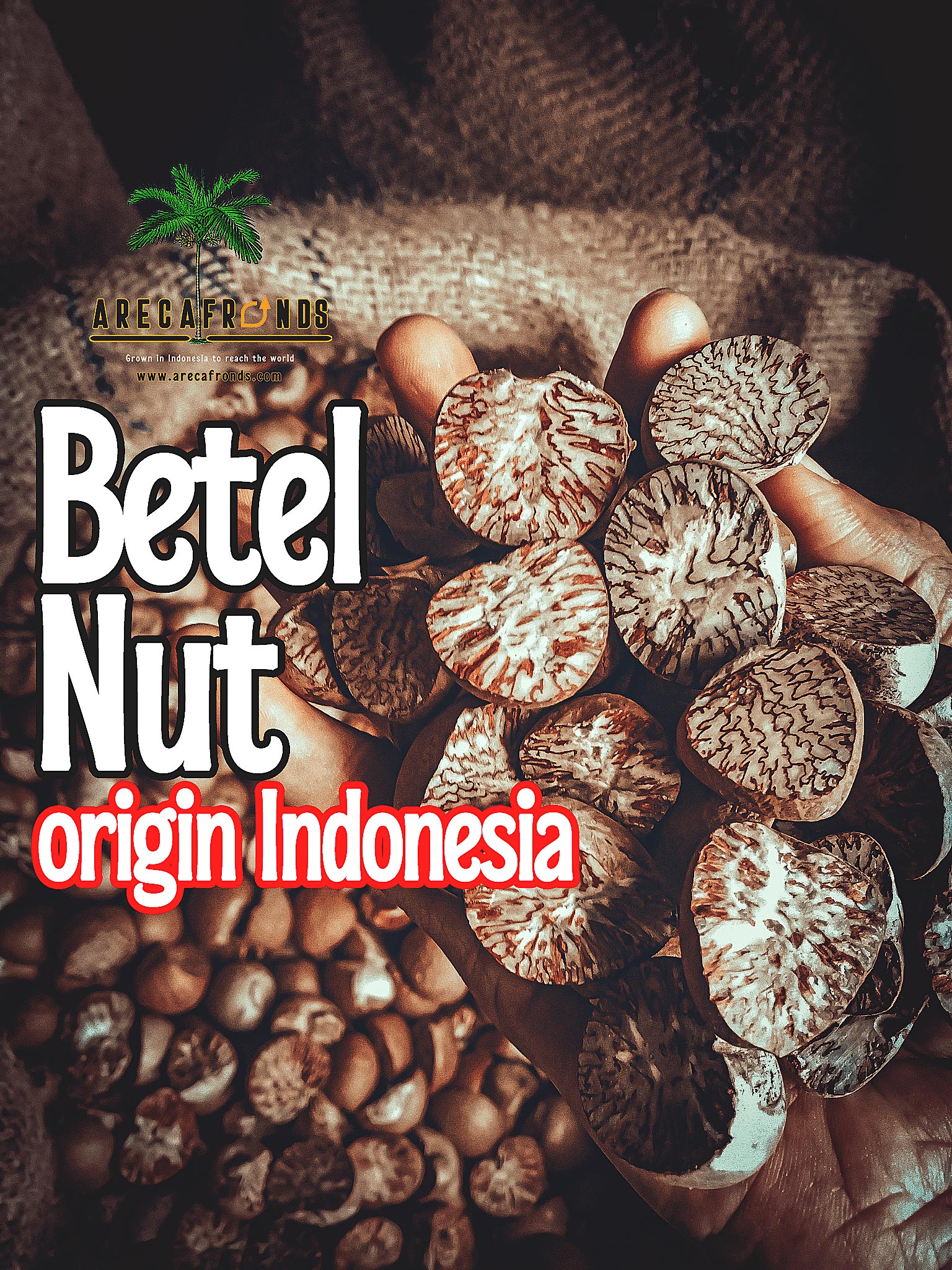 Betel Nut Origin Indonesia | Inaexport