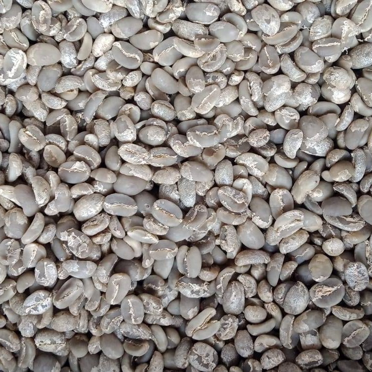 Java Arabica Papandayan Yellow Cattura - (Specialty Coffee) | Inaexport