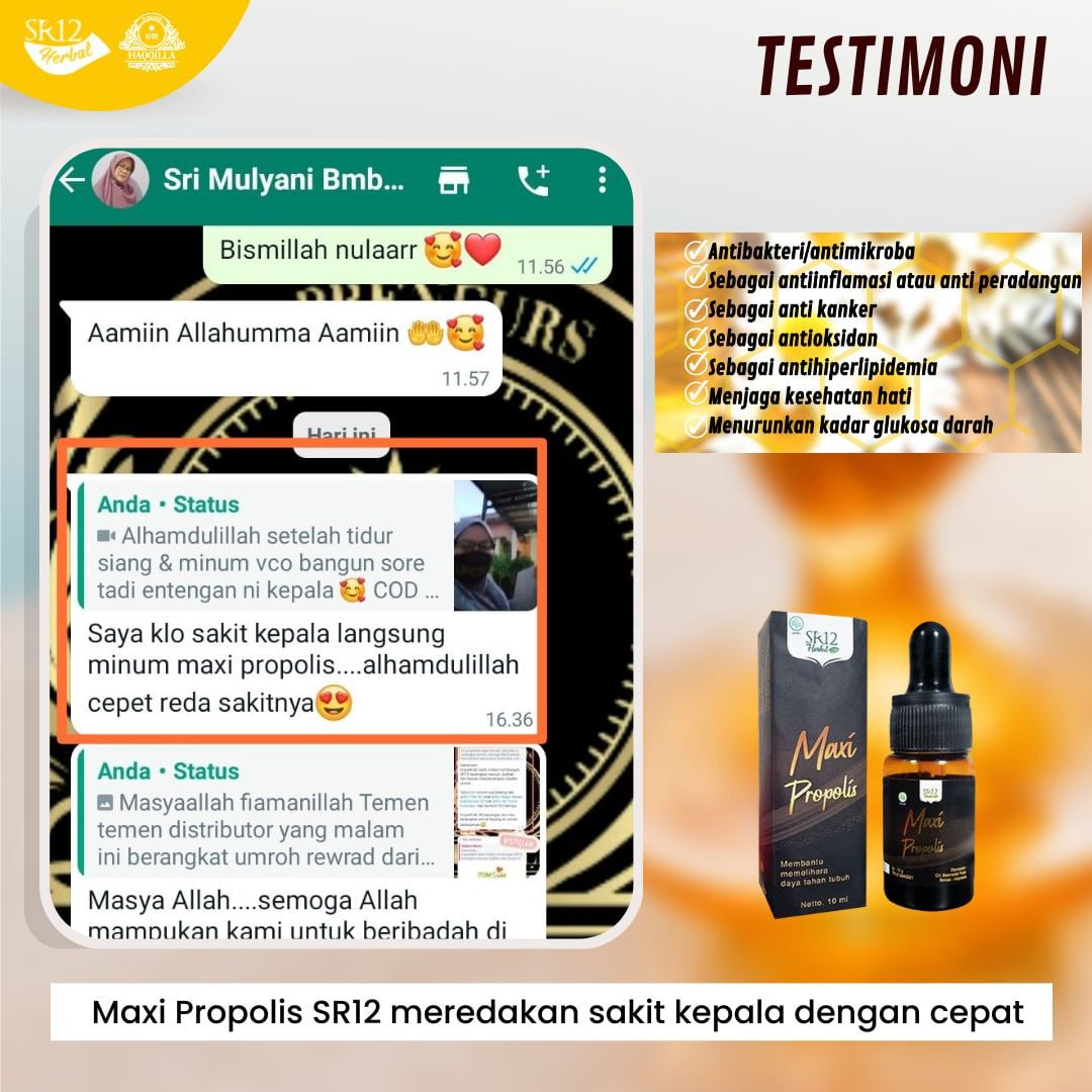 MAXI PROPOLIS | Inaexport