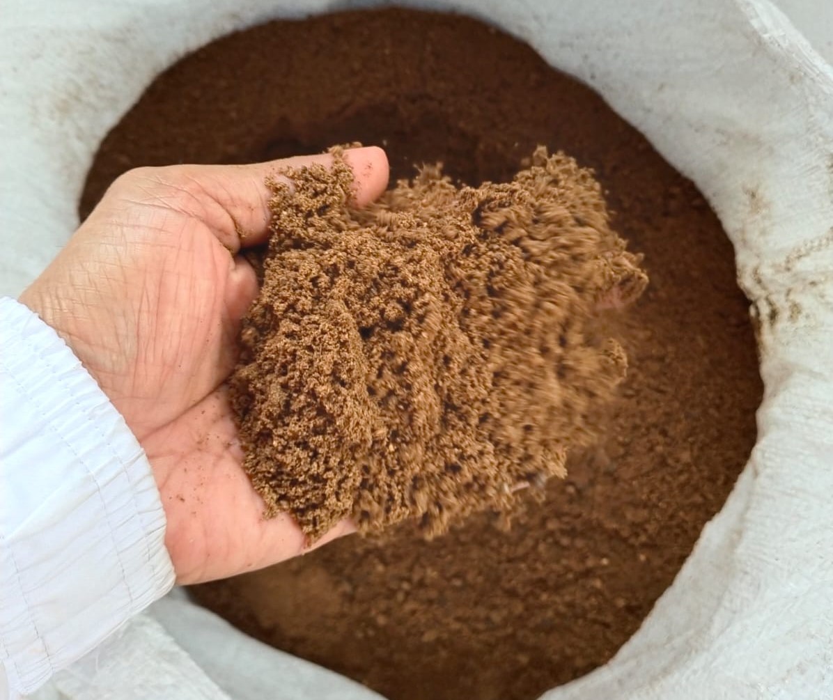 PALM KERNEL EXPELLER / CAKE / PKE / PALM OIL | Inaexport