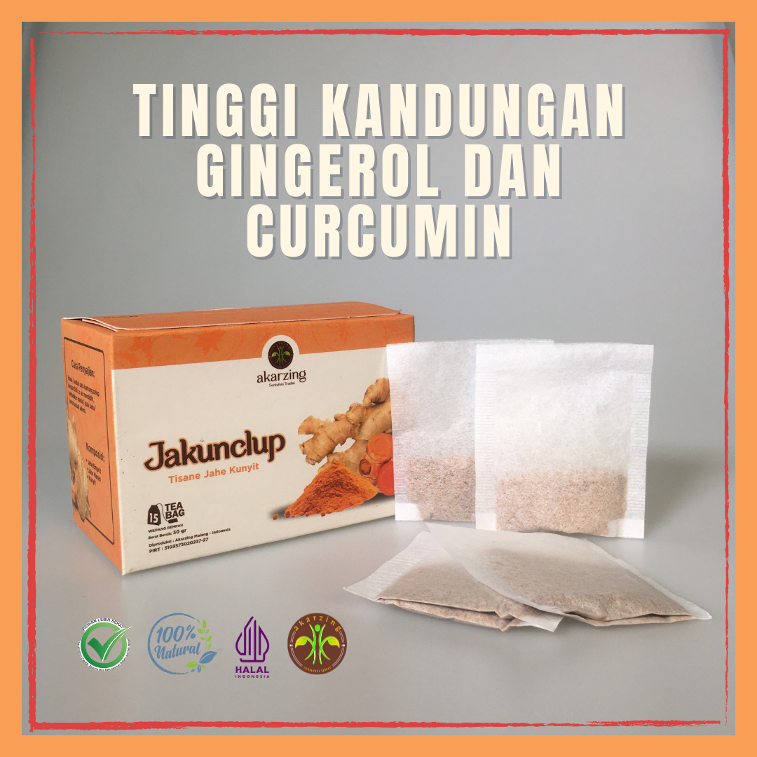 GINGER TURMERIC DIP | Inaexport