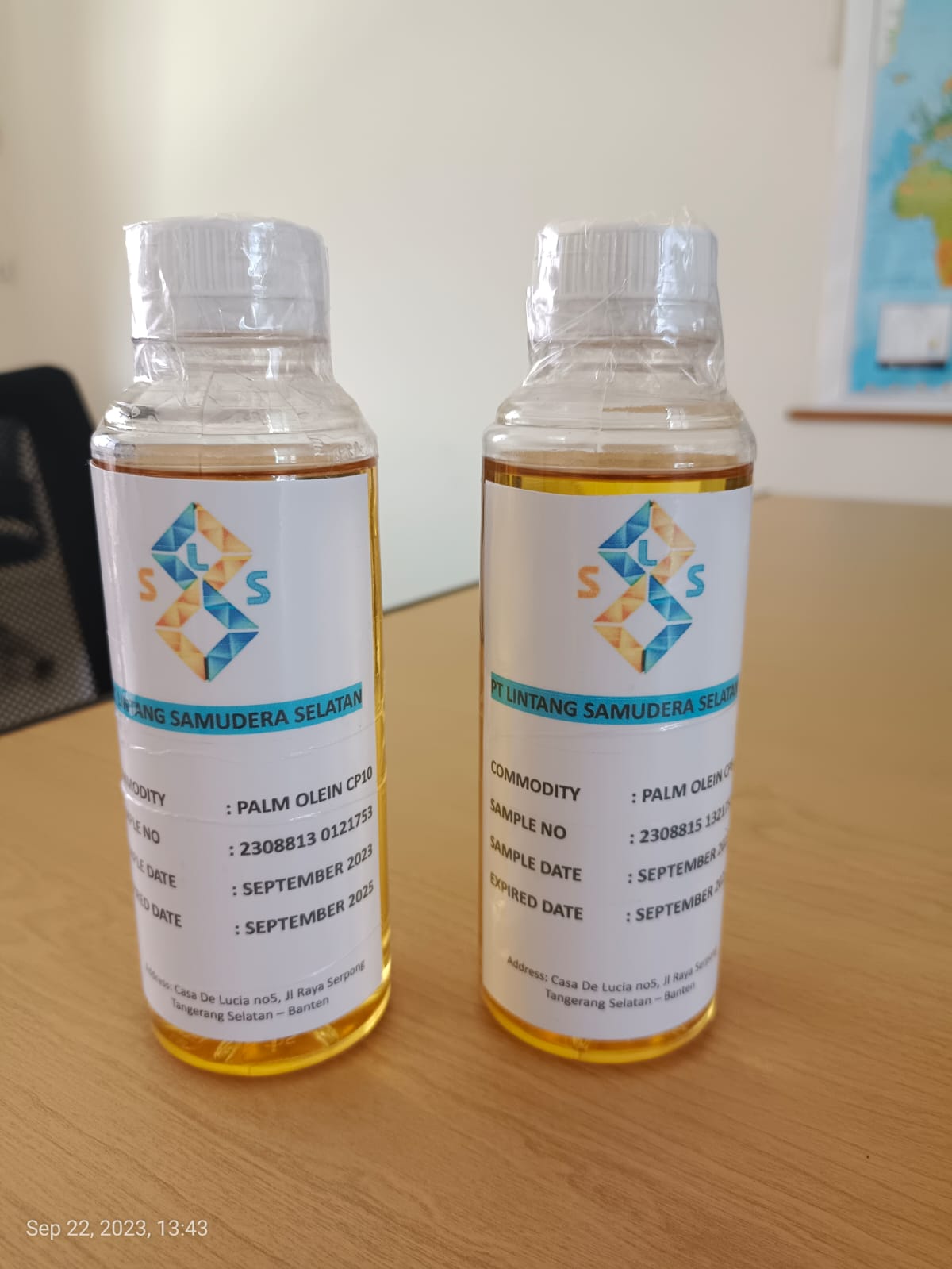 RBD Palm Olein CP10 | Inaexport