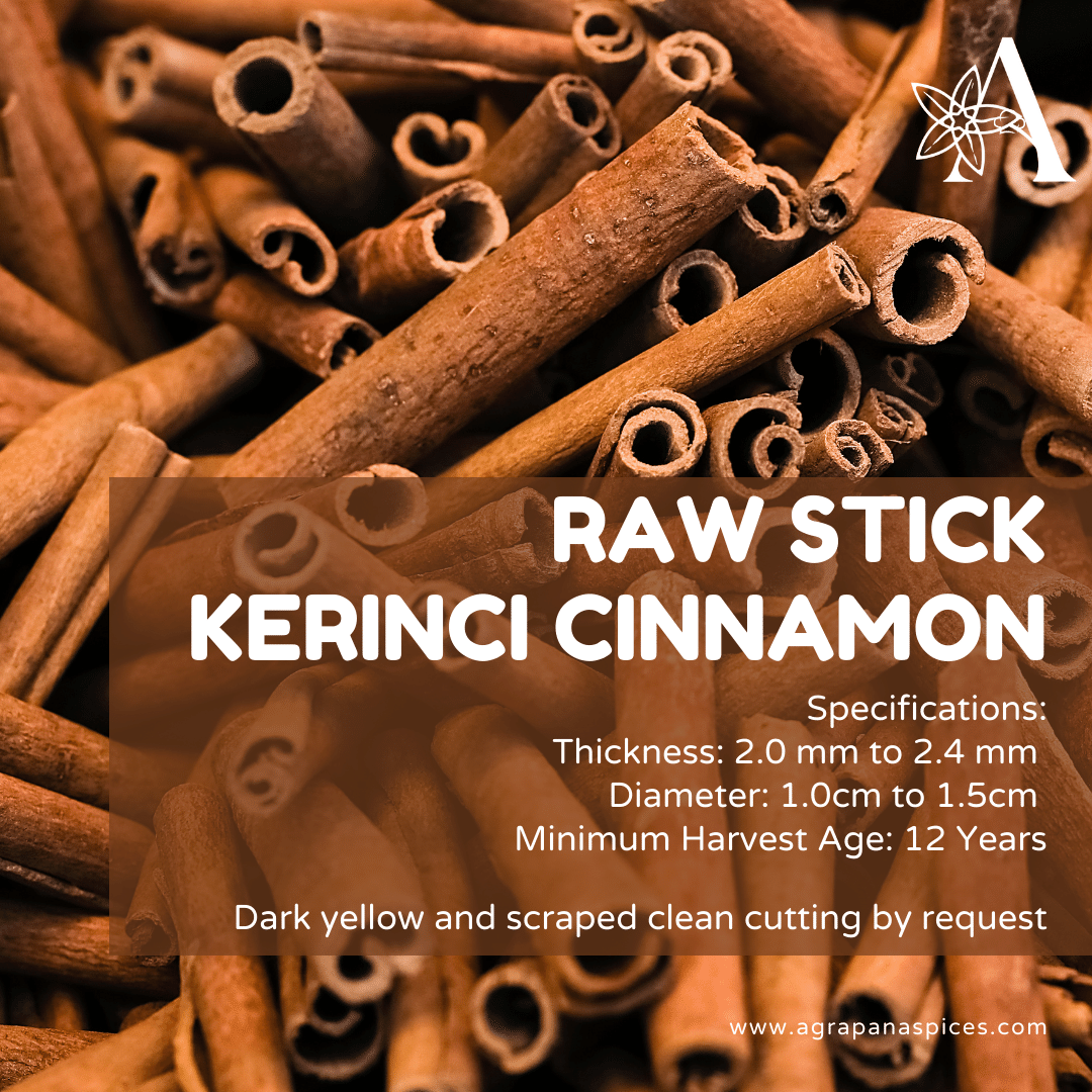 RAW CINNAMON STICK - CINNAMON | Inaexport