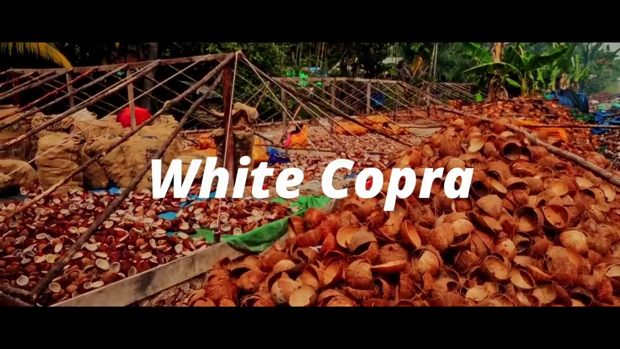 White Copra | Inaexport