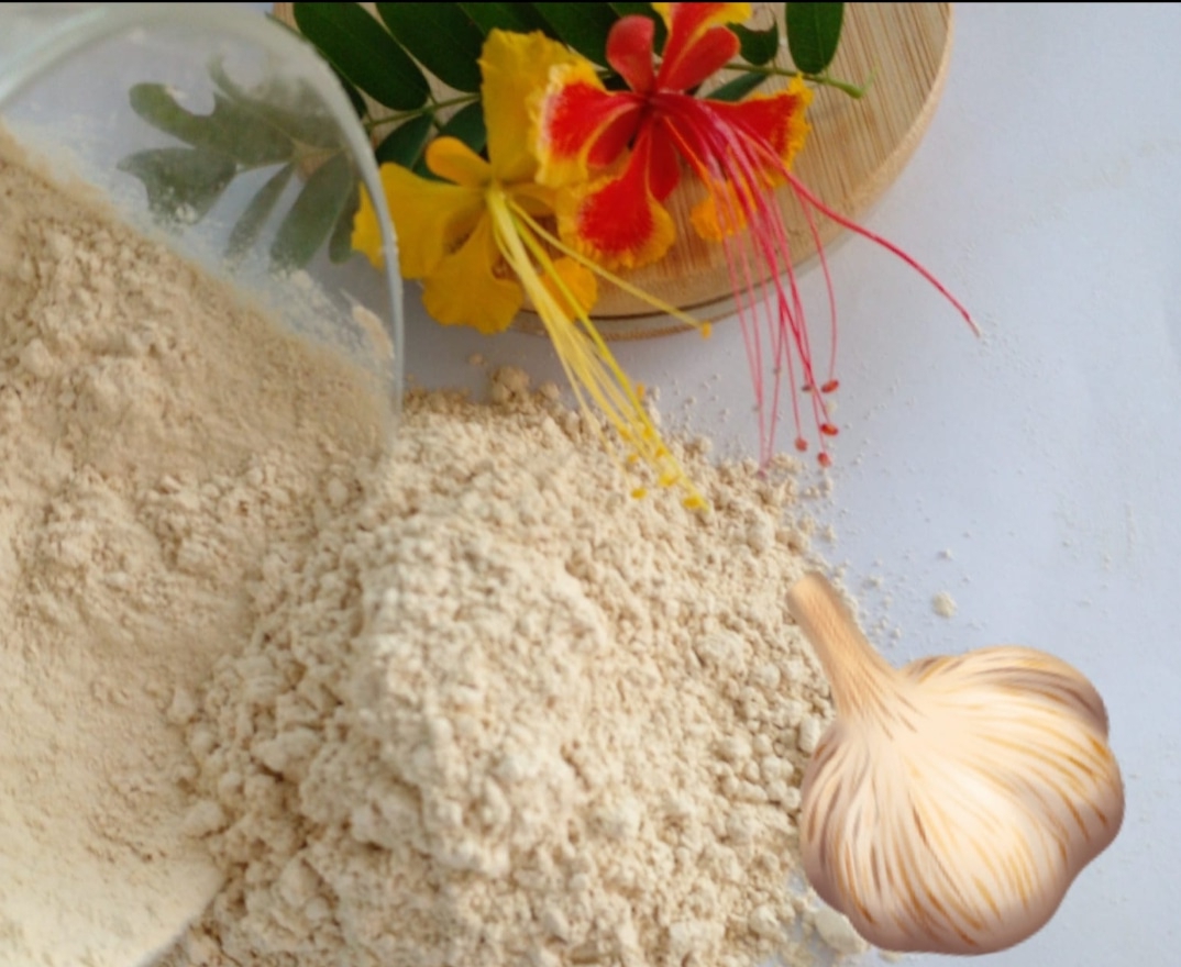 Garlic powder | Inaexport
