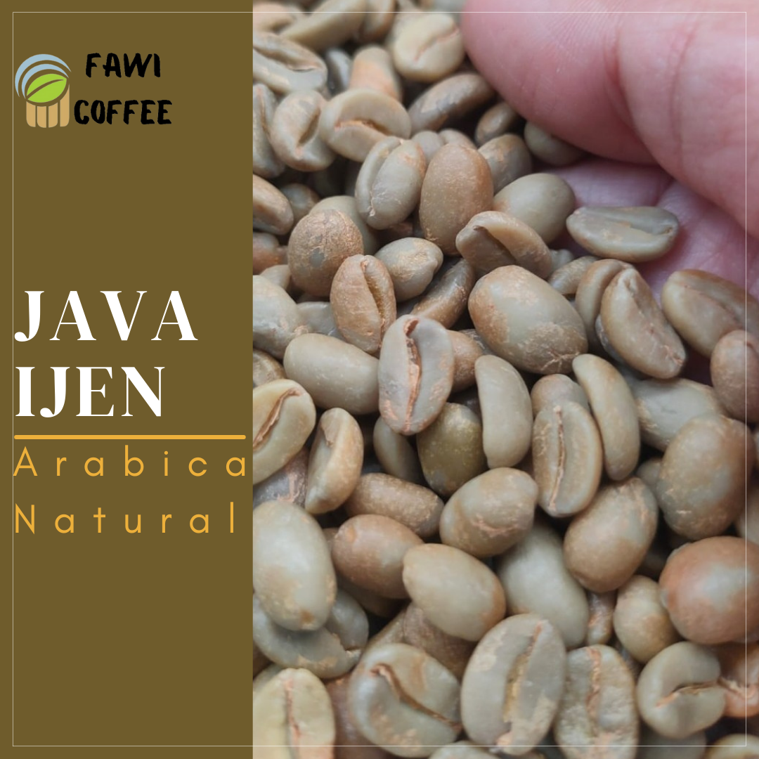 Green Beans Java Beans Arabica Natural Coffee | Inaexport