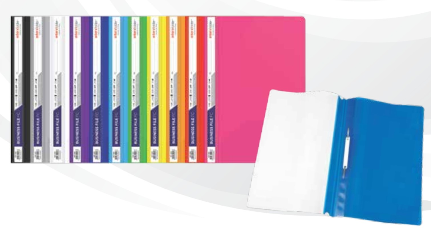 Business File / Report File | Inaexport