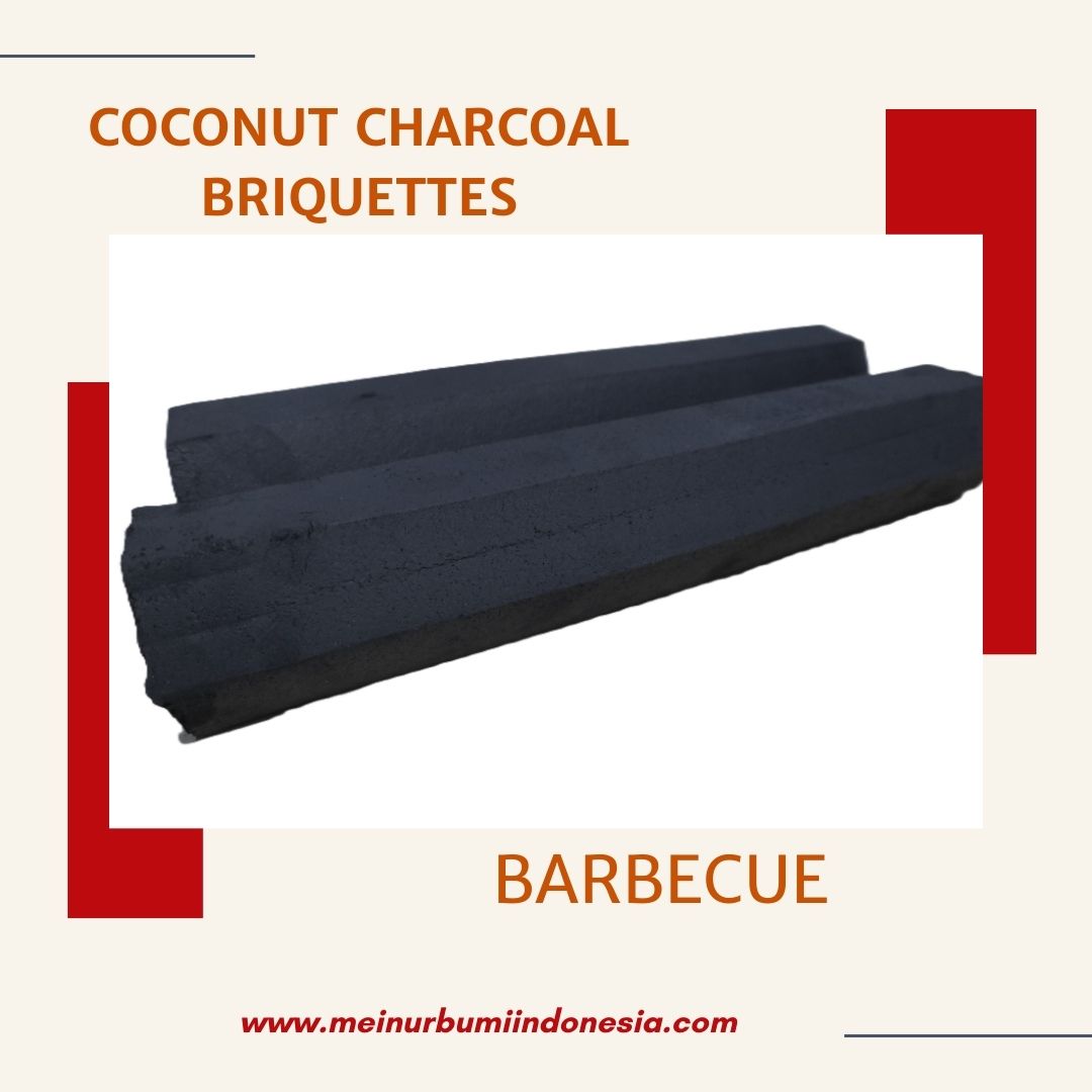 HEXAGONAL BBQ CHARCOAL | Inaexport