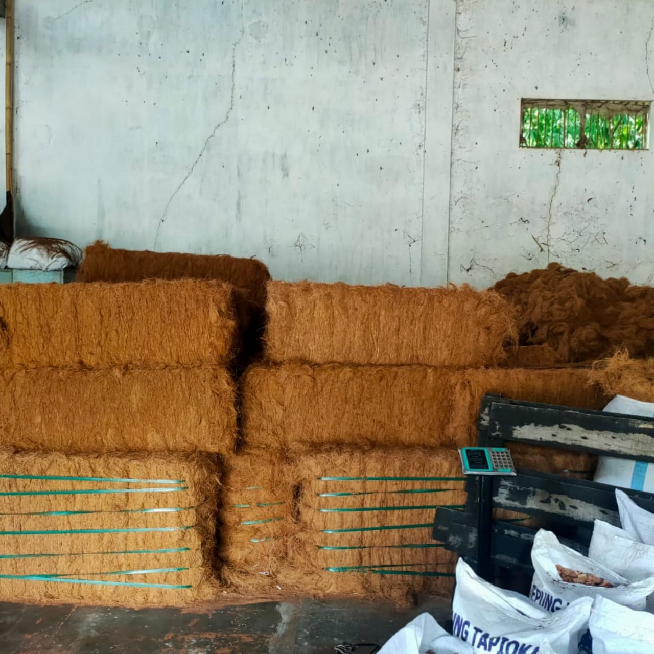 COCO FIBER / FIBRE | Inaexport
