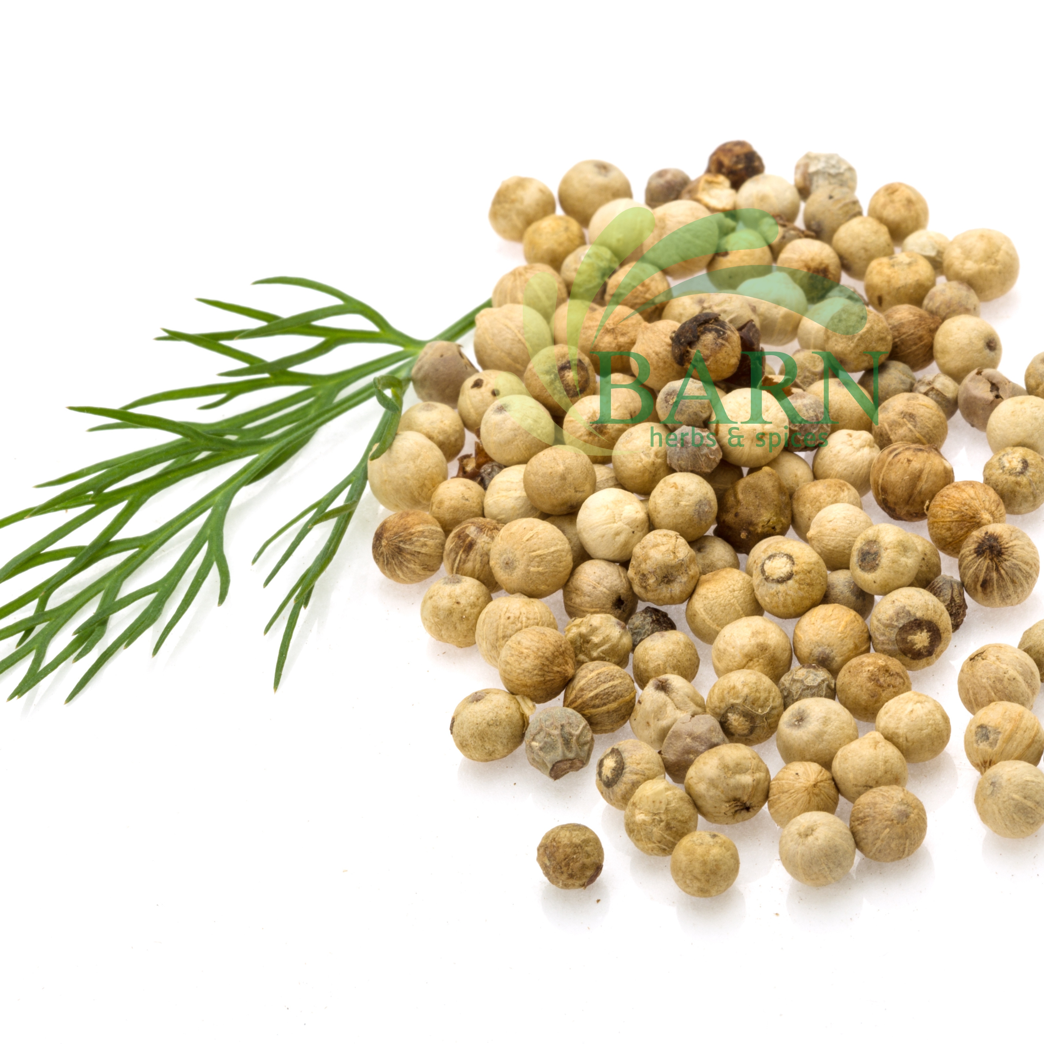 White Pepper | Inaexport