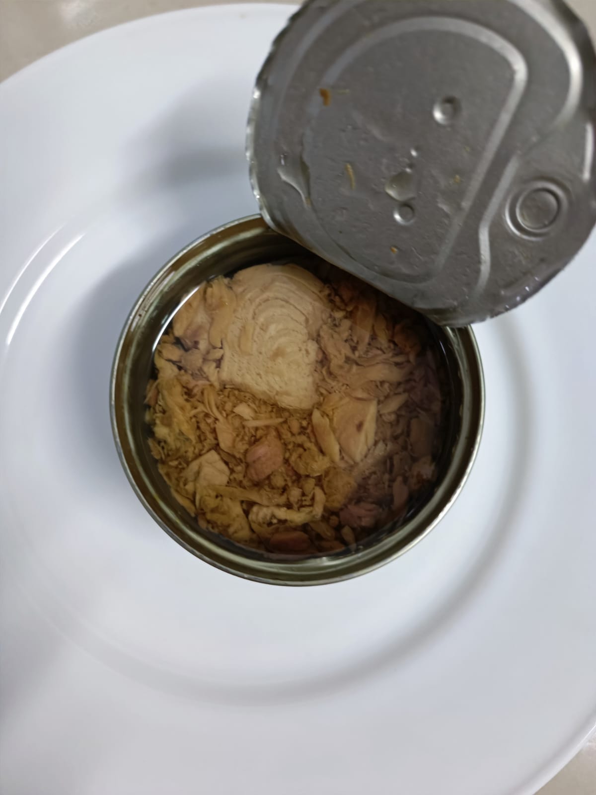 Canned Tuna | Inaexport