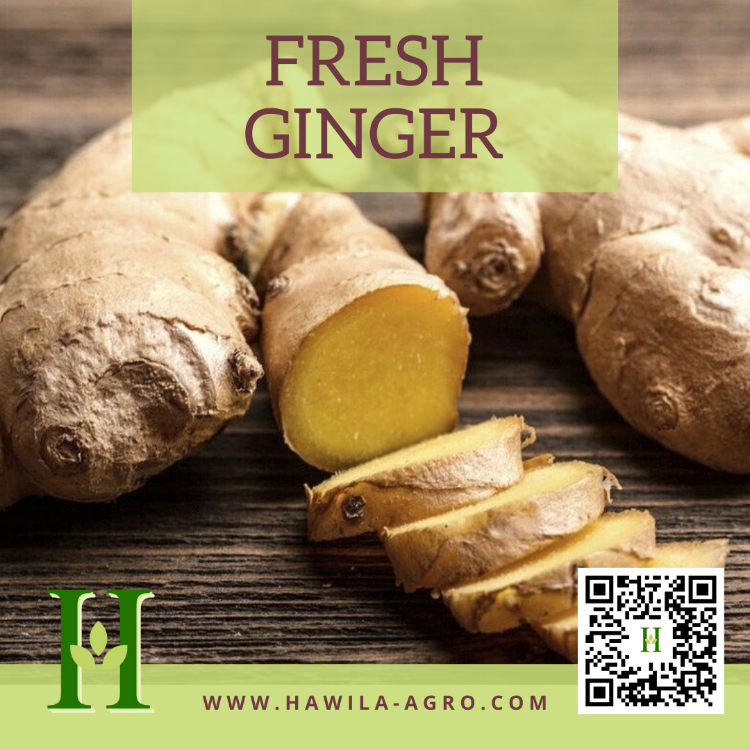 Fresh Ginger | Inaexport
