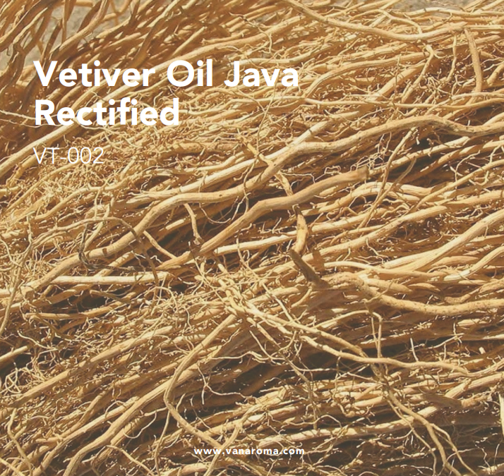 Vetiver Oil Java Rectified (VT-002) Van Aroma | Inaexport