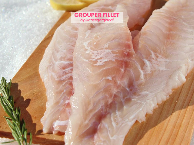 HIATOTO # Akses Cepat Situs Bandar Togel Online & Slot 4D Terpercaya Di ...