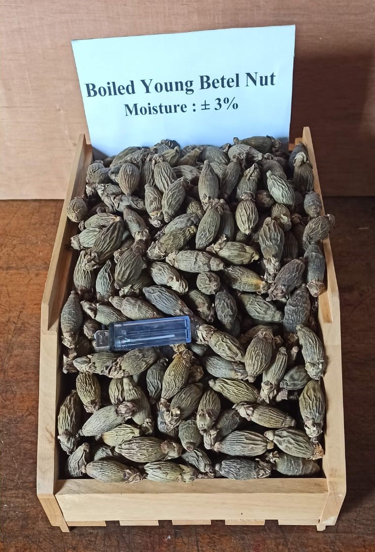 Betel Nut / Areca Nut | Inaexport