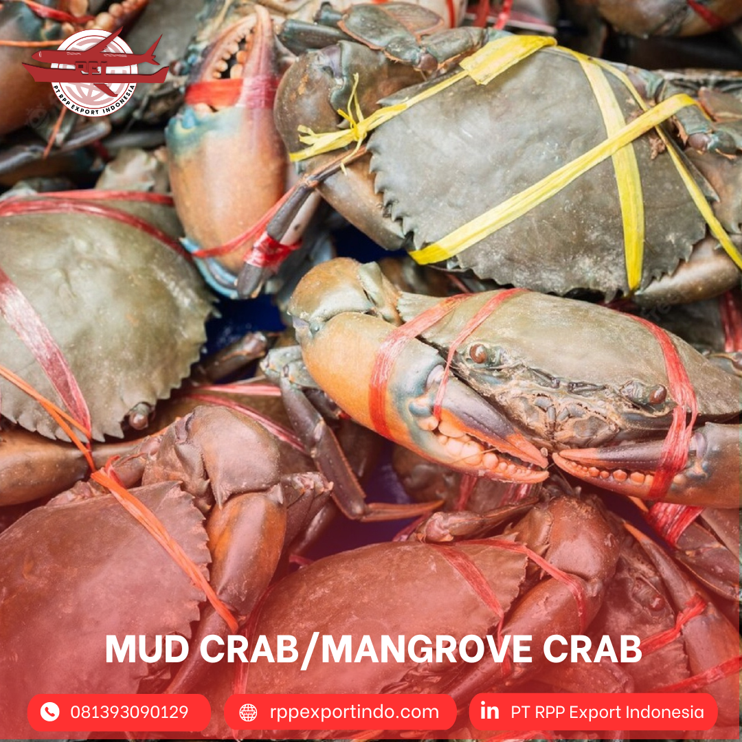 Crab of Mangrove/Mud Crab | Inaexport