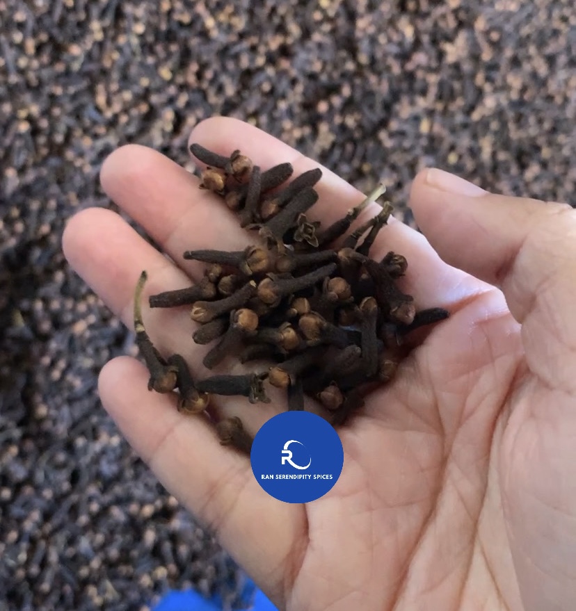 CLOVE / CLOVER | Inaexport