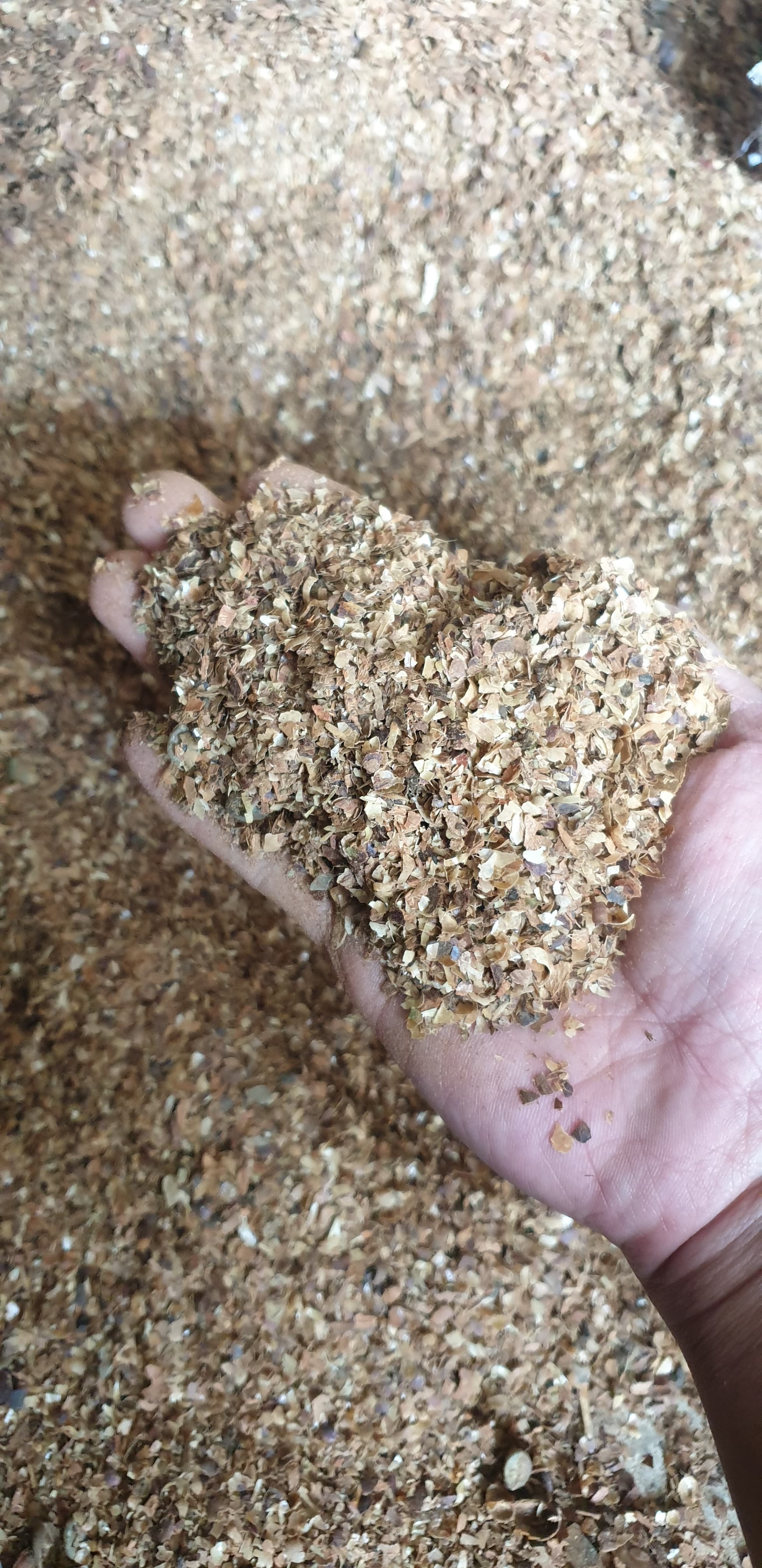 Coffee Husk {Coffee Husk) | Inaexport