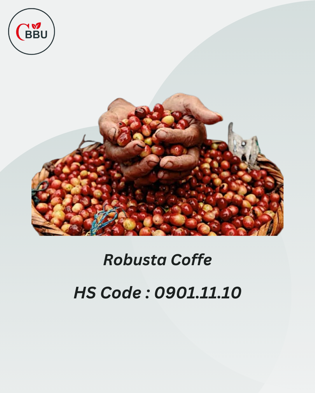 Random robusta green beans | Inaexport