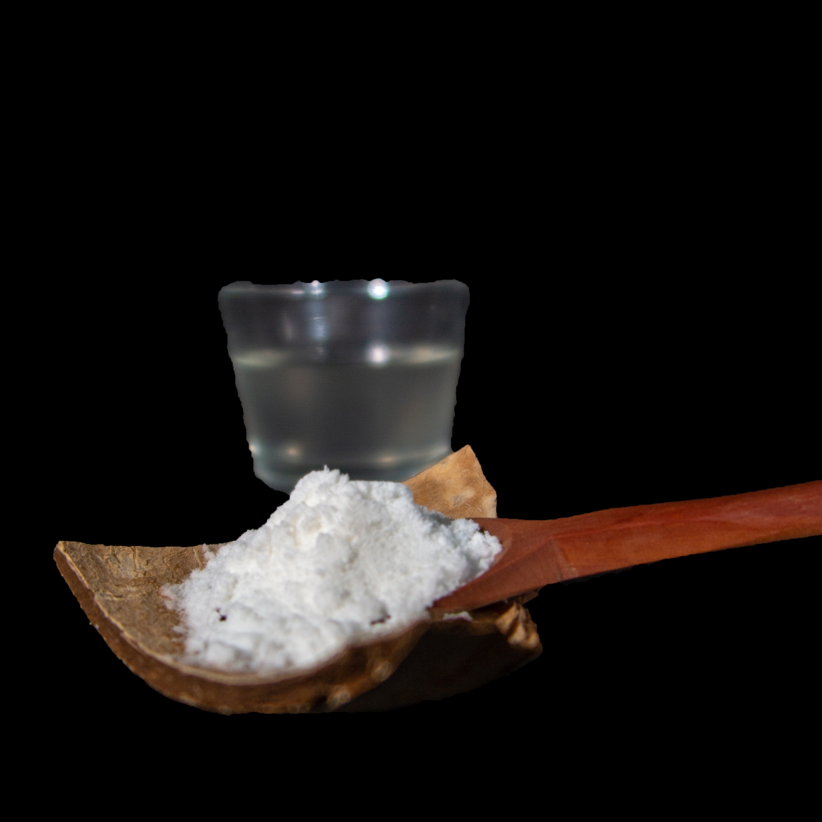Coconut Water Powder | Inaexport