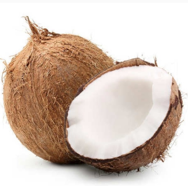 Coconut & Coconut Product | Inaexport