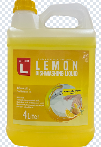 Choice L Dishwashing Liquid 4L | Inaexport