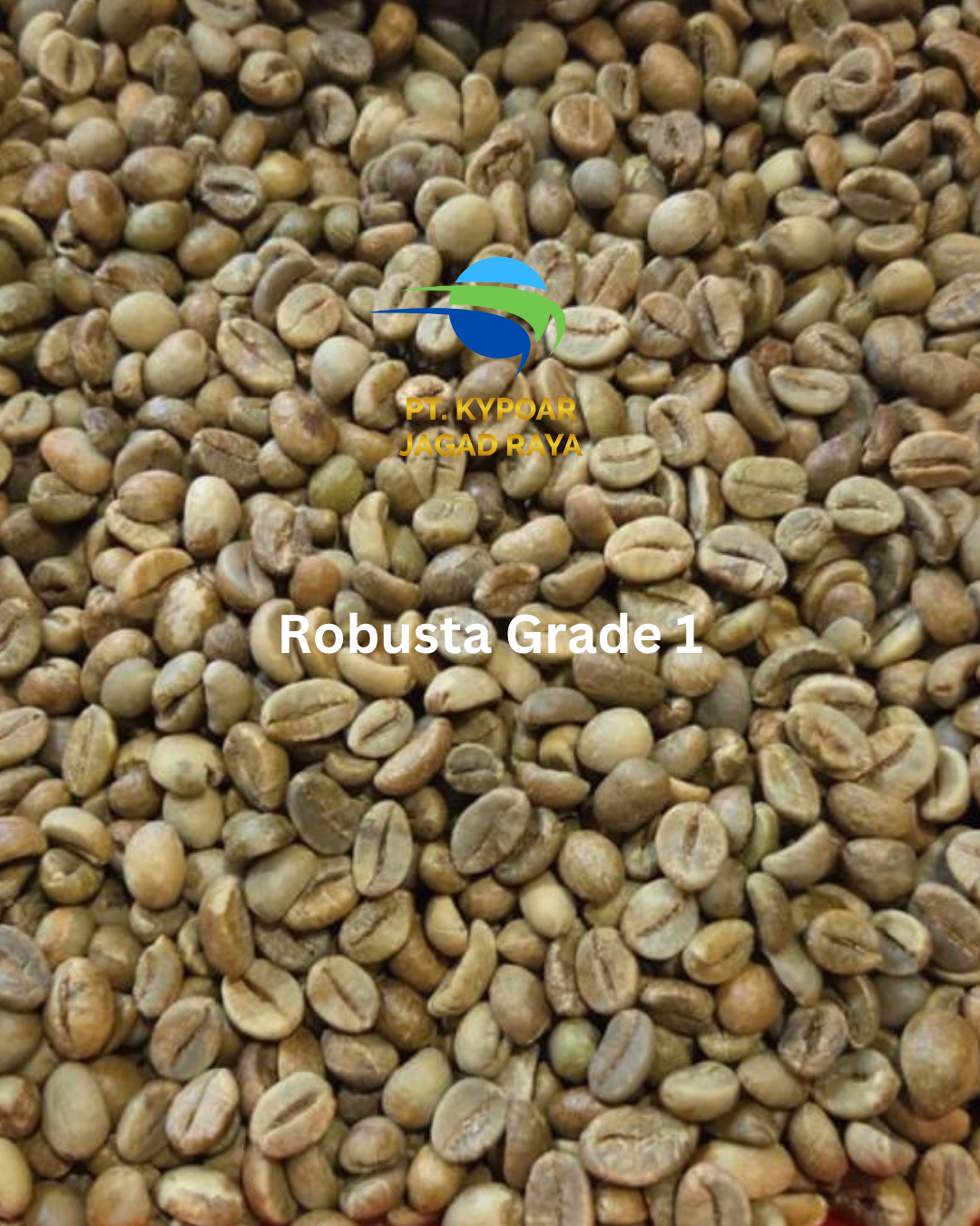 0001A Robusta Grade 1 Natural | Inaexport