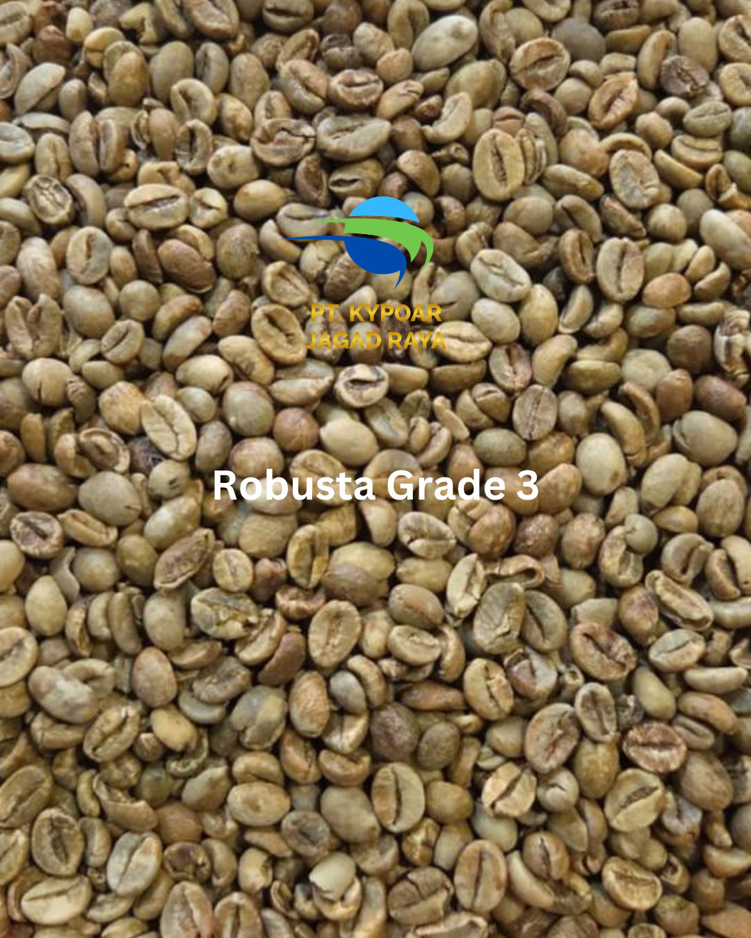 0001A Robusta Grade 3 Natural | Inaexport