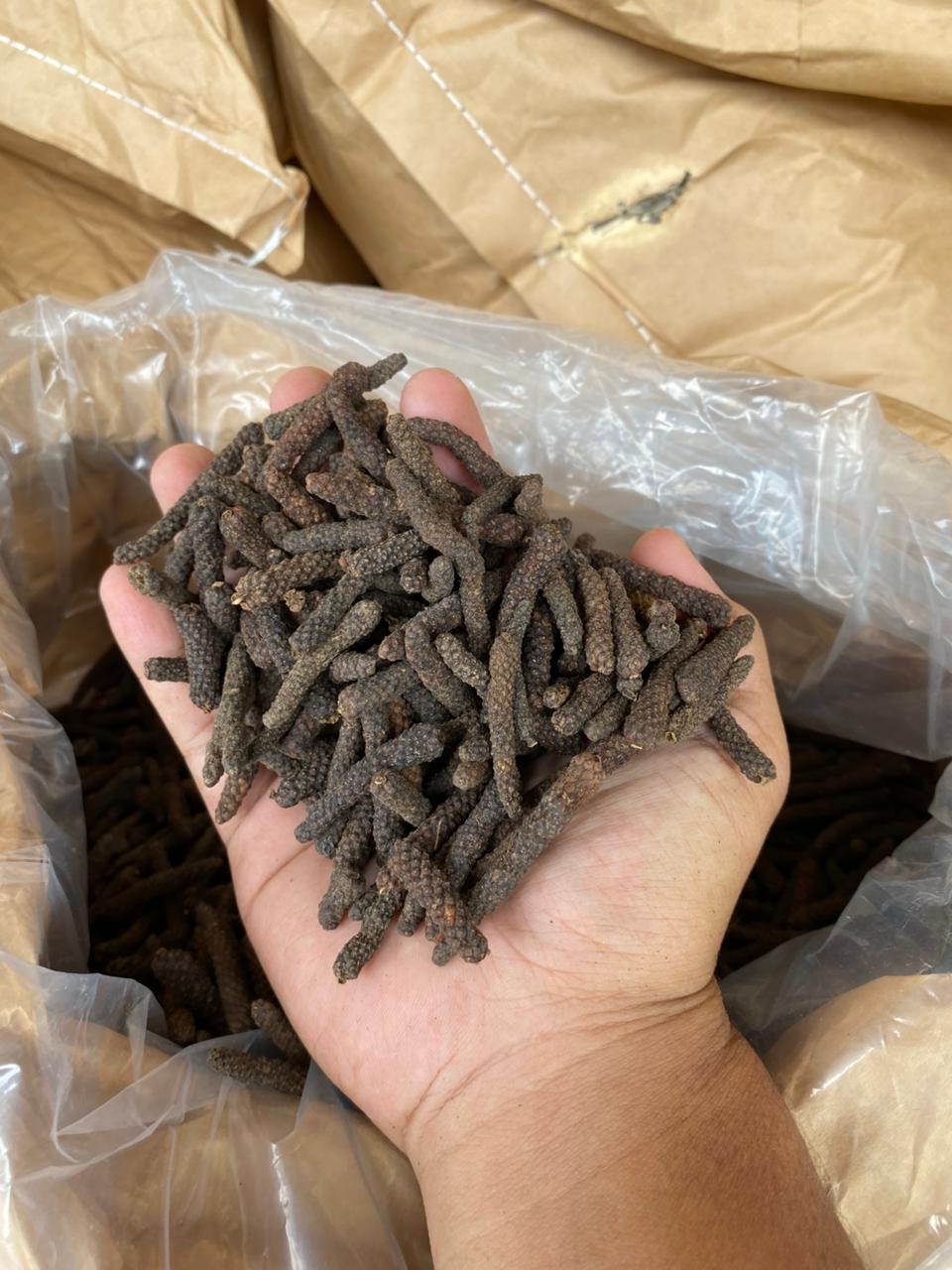 Long pepper | Inaexport
