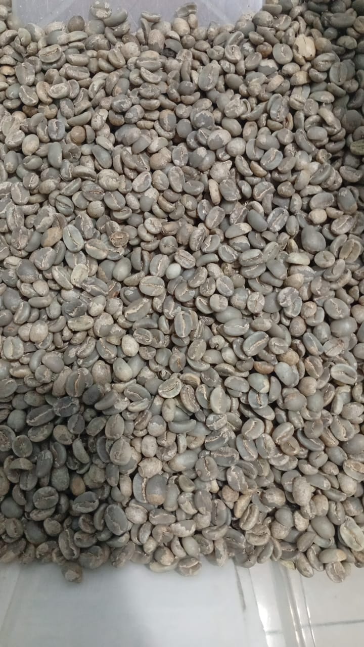 Java Coffee Bean Arabica | Inaexport