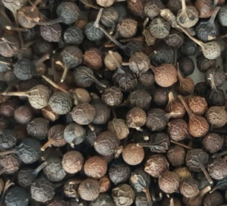 Cubeb (Piper Cubeba) | Inaexport