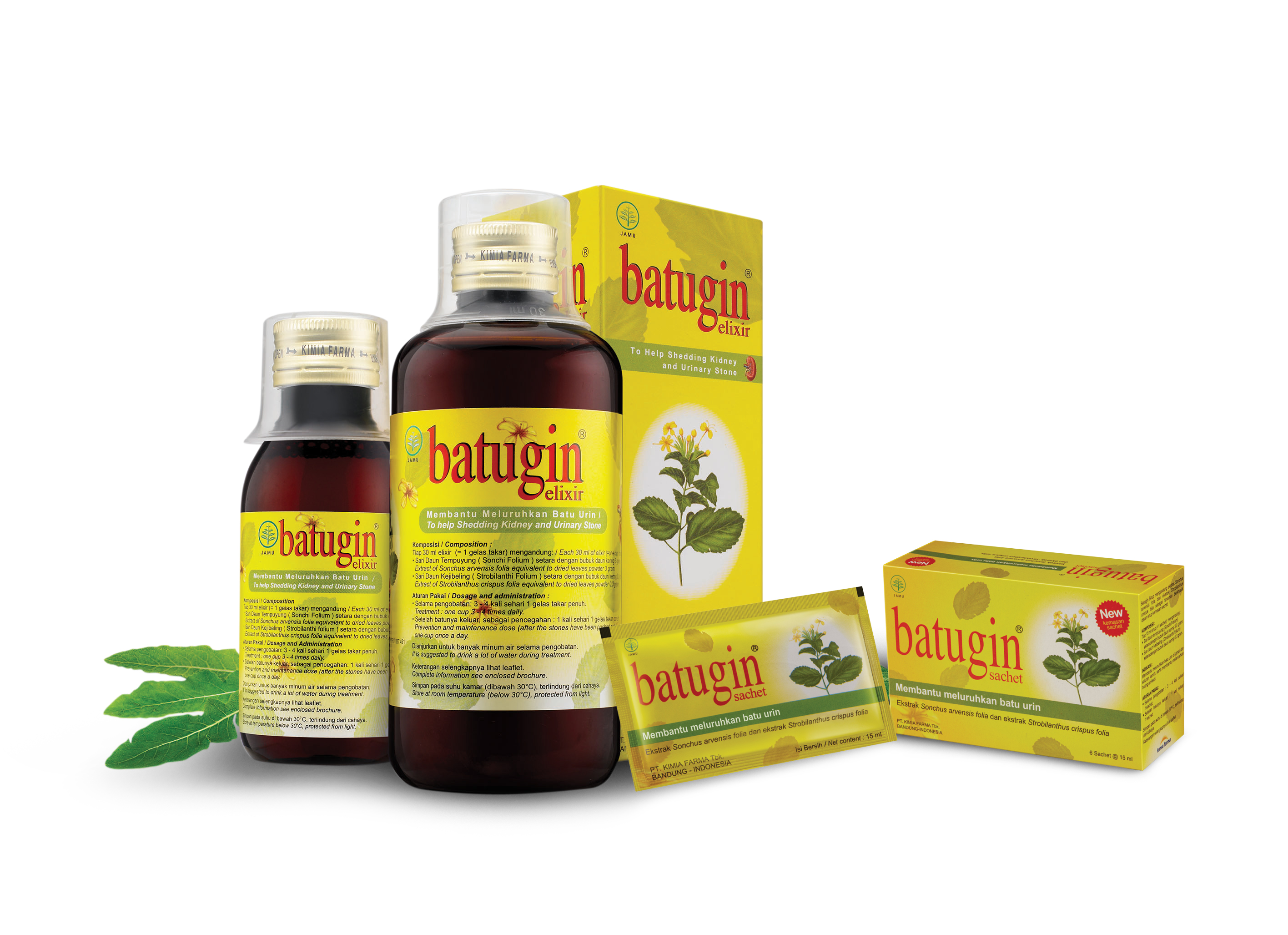 Batugin Kidney Stone Medicine | Inaexport