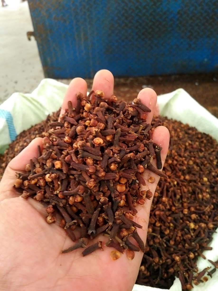 LALPARI CLOVES | Inaexport