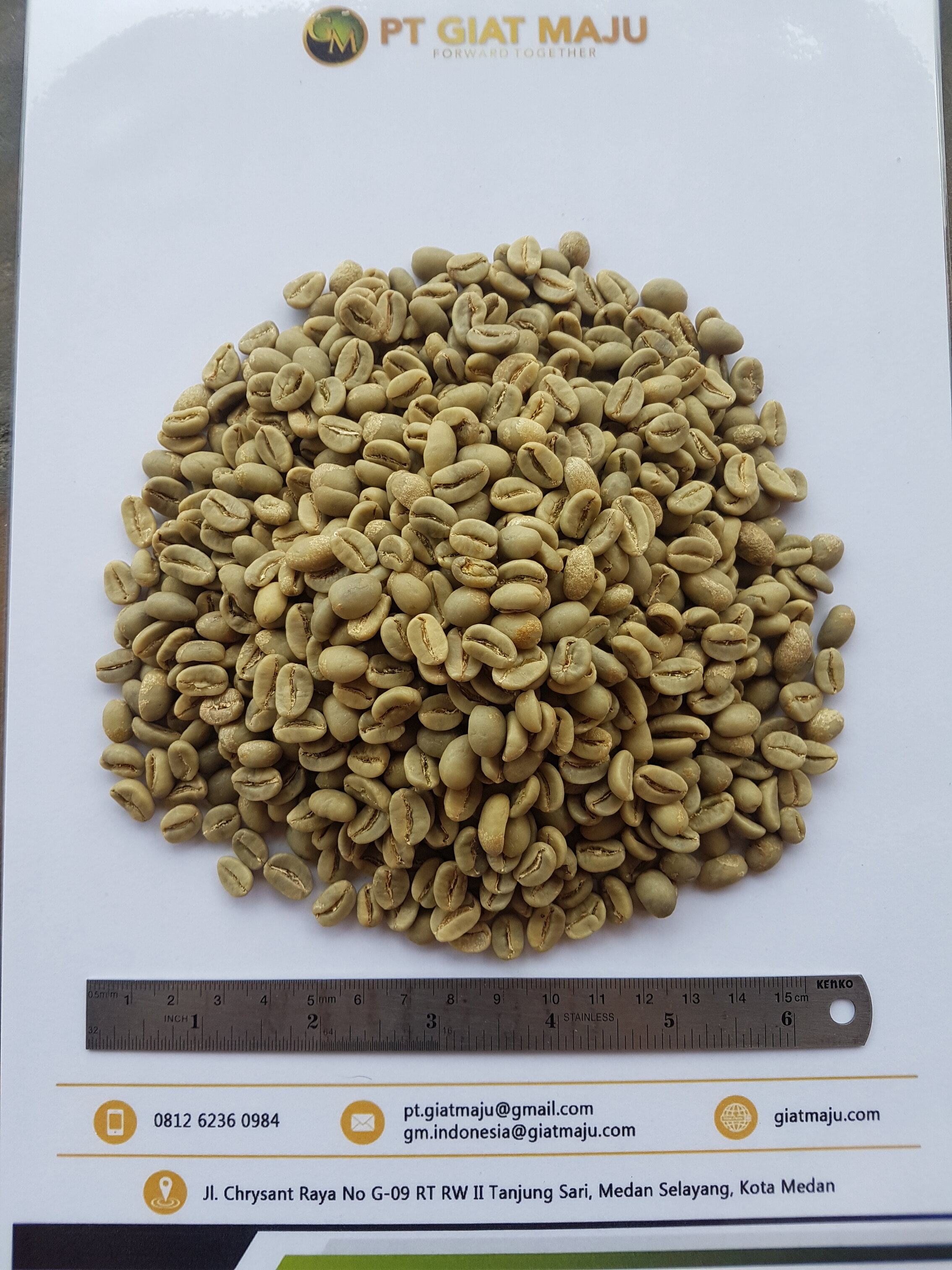 Gayo Arabica Greenbean Full Wash Coffee Beans | Inaexport
