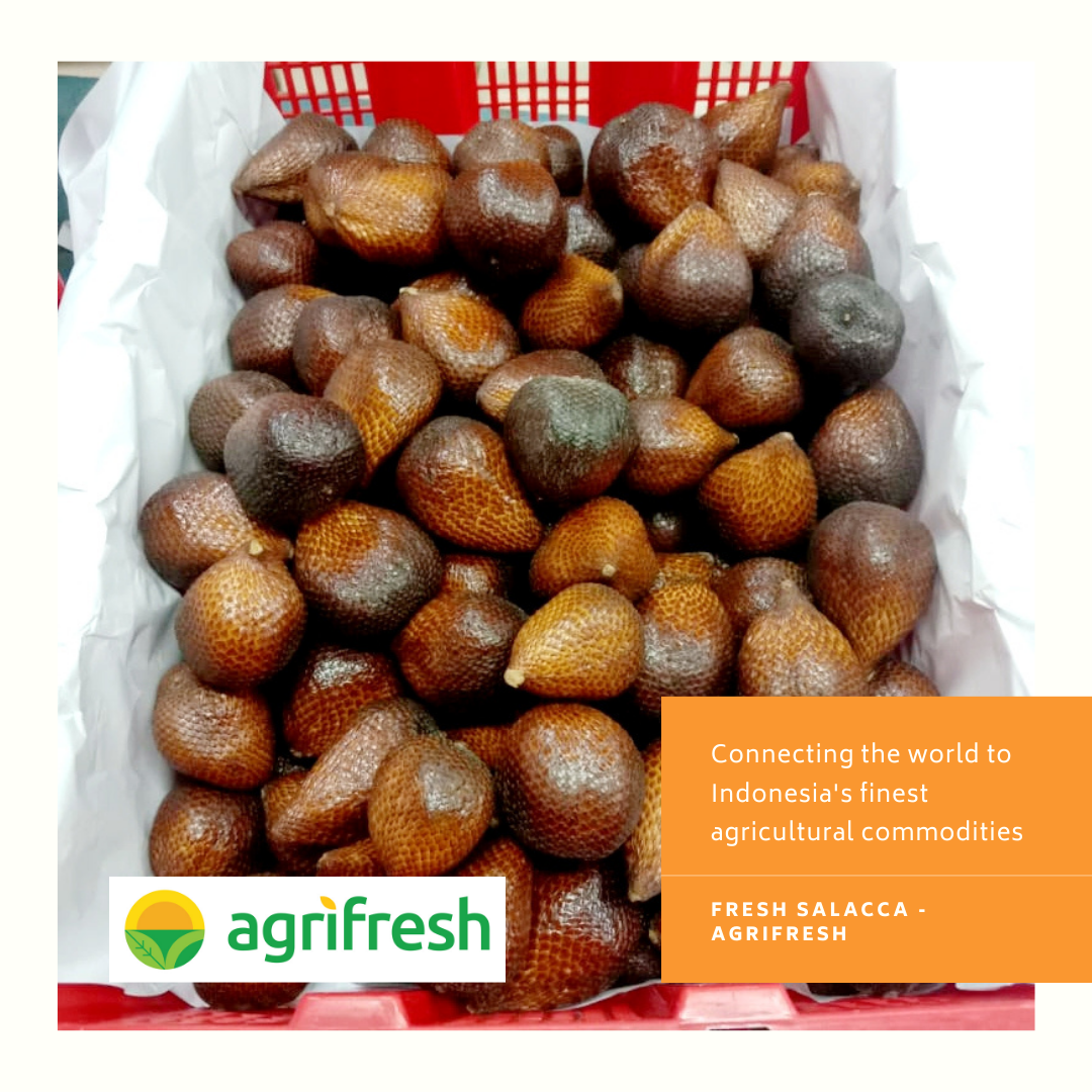 Salacca / Snakeskin fruit | Inaexport