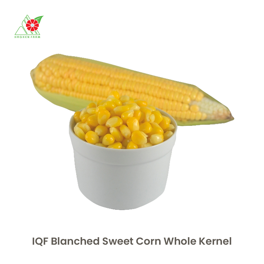 IQF Blanched Sweet Corn Whole Kernel | Inaexport