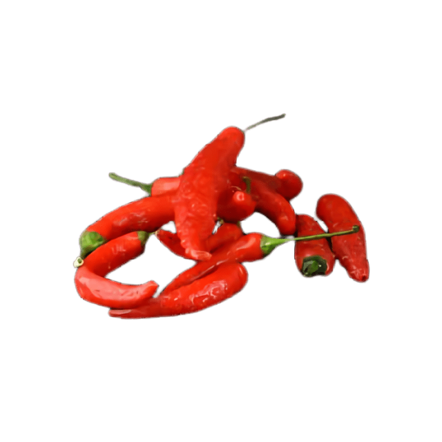 Small Red Chilli | Inaexport