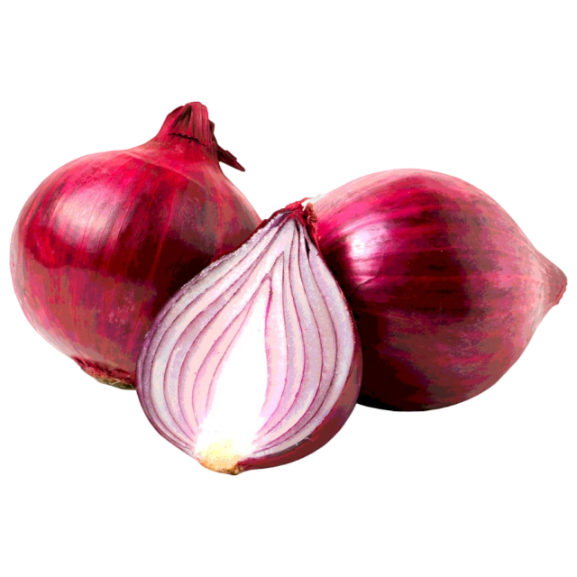 Red Onion | Inaexport