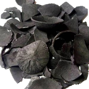 Coconut Shell Charcoal | Inaexport