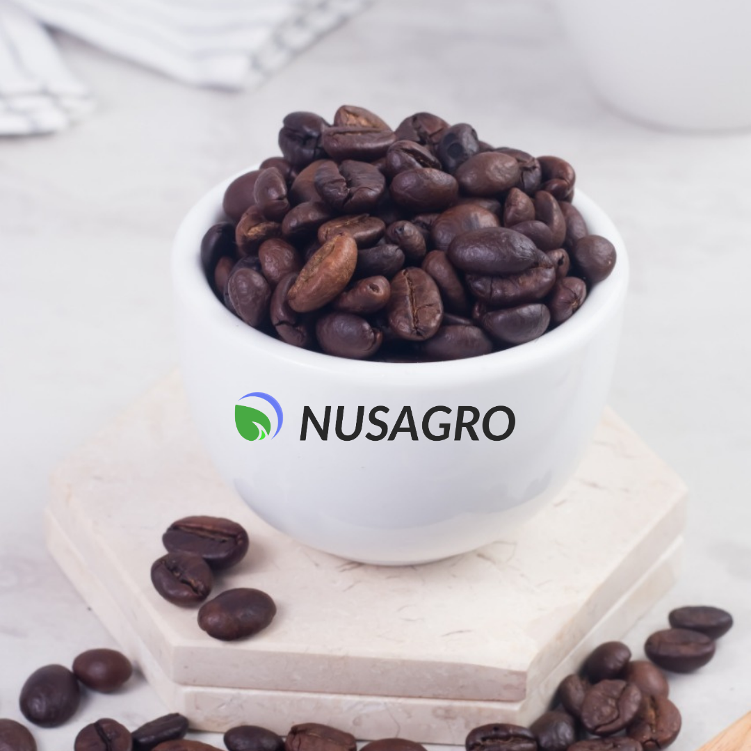 Roasted Bean Arabica Coffee | Inaexport