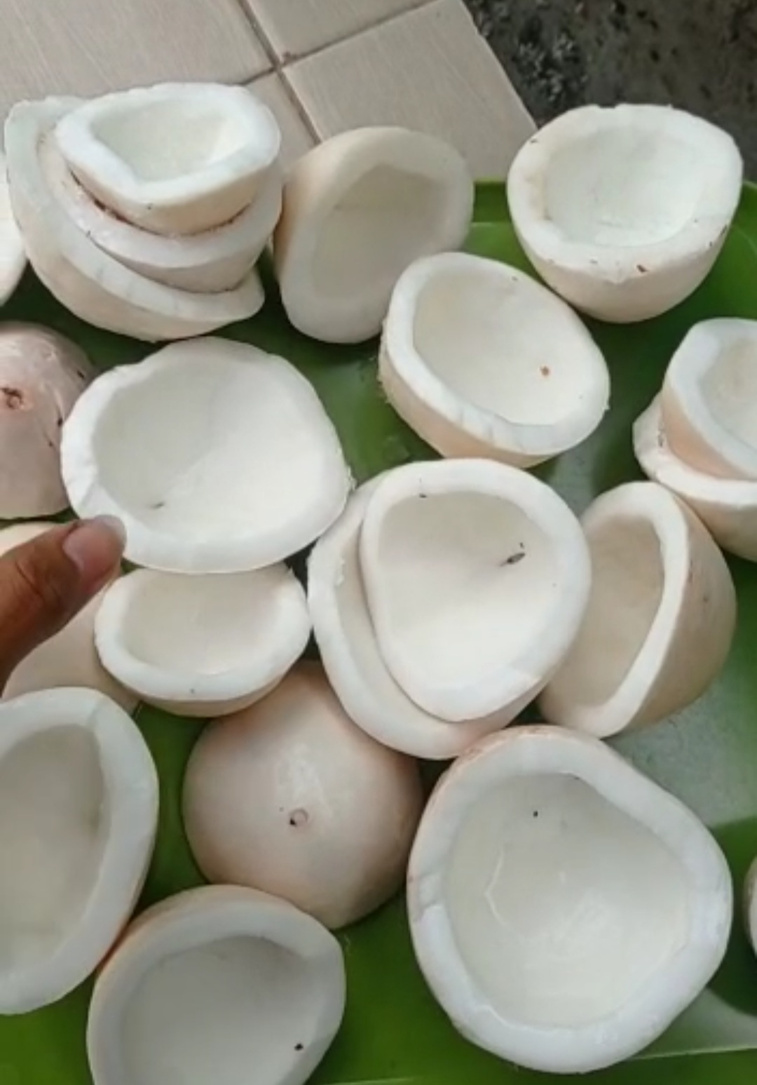 Copra Expeller Cake | Inaexport