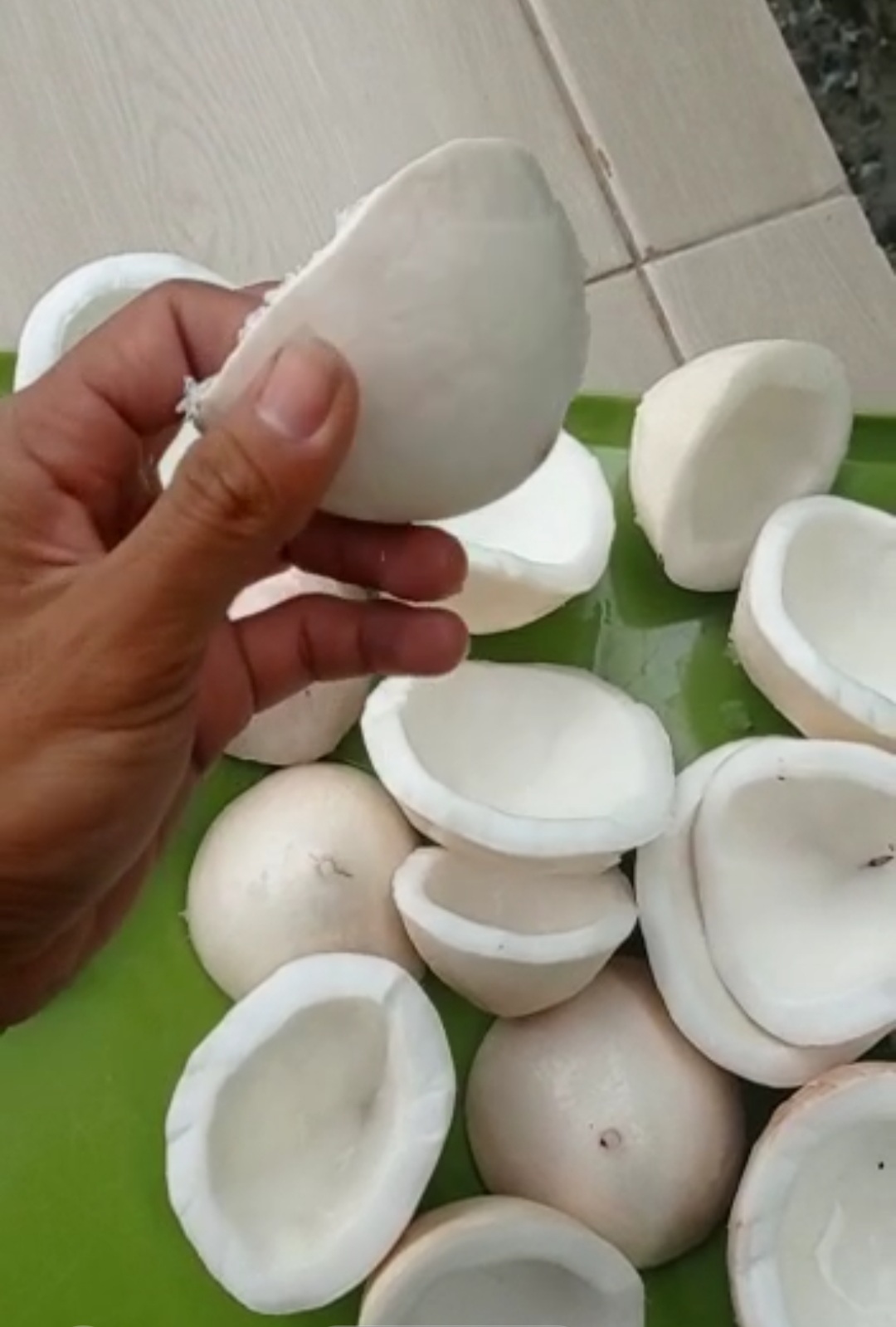 Copra Expeller Cake | Inaexport