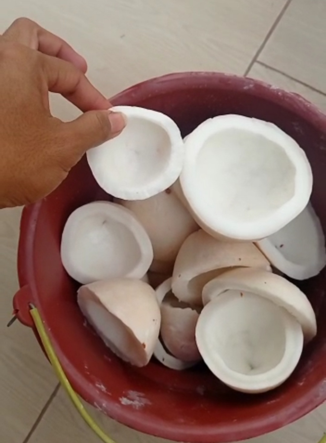 Copra Expeller Cake | Inaexport