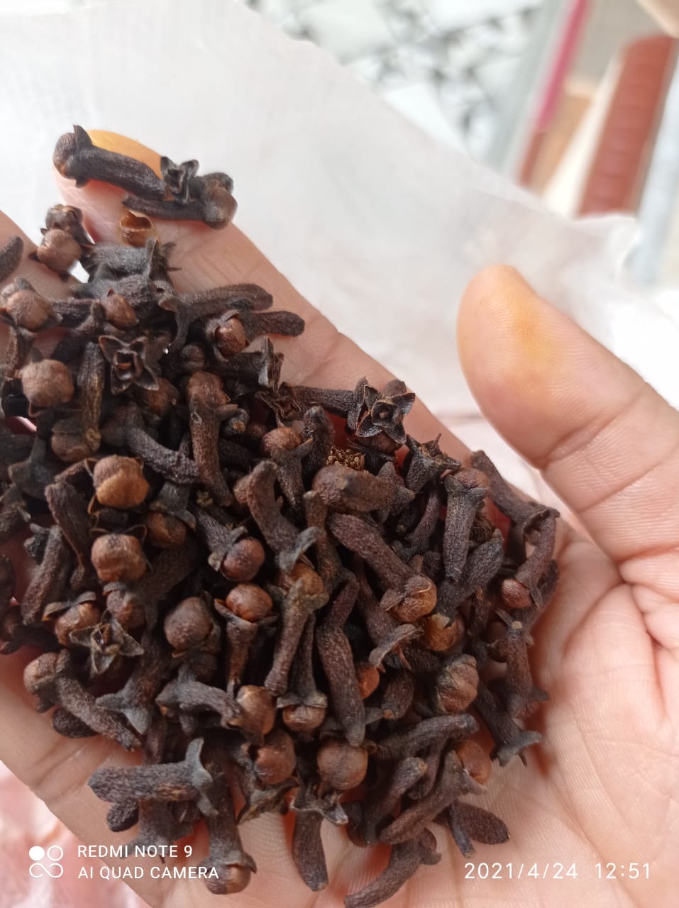 Clove | Inaexport