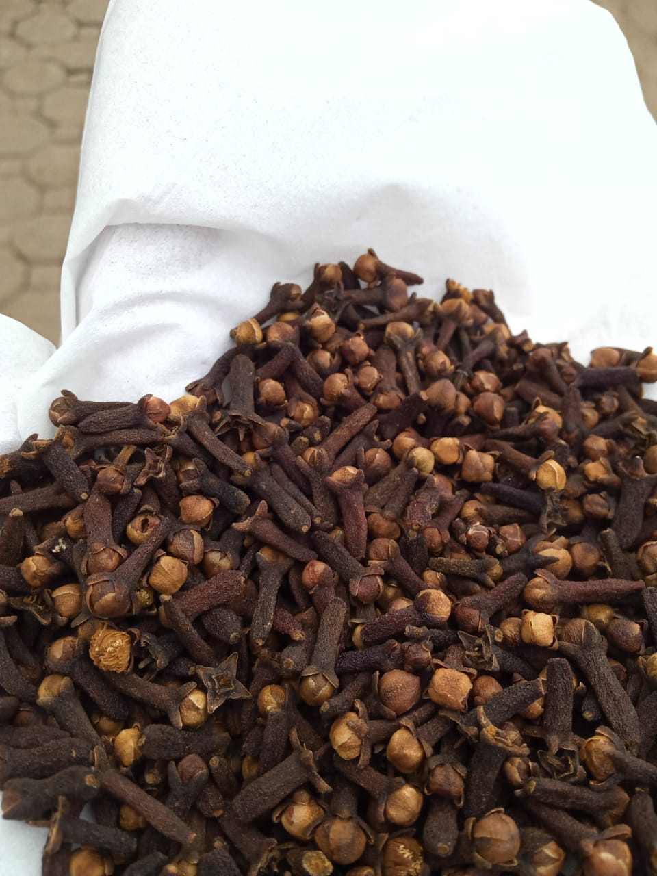 Clove | Inaexport