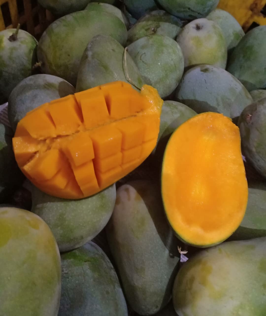 MANGOES / FRESH MANGOES | Inaexport