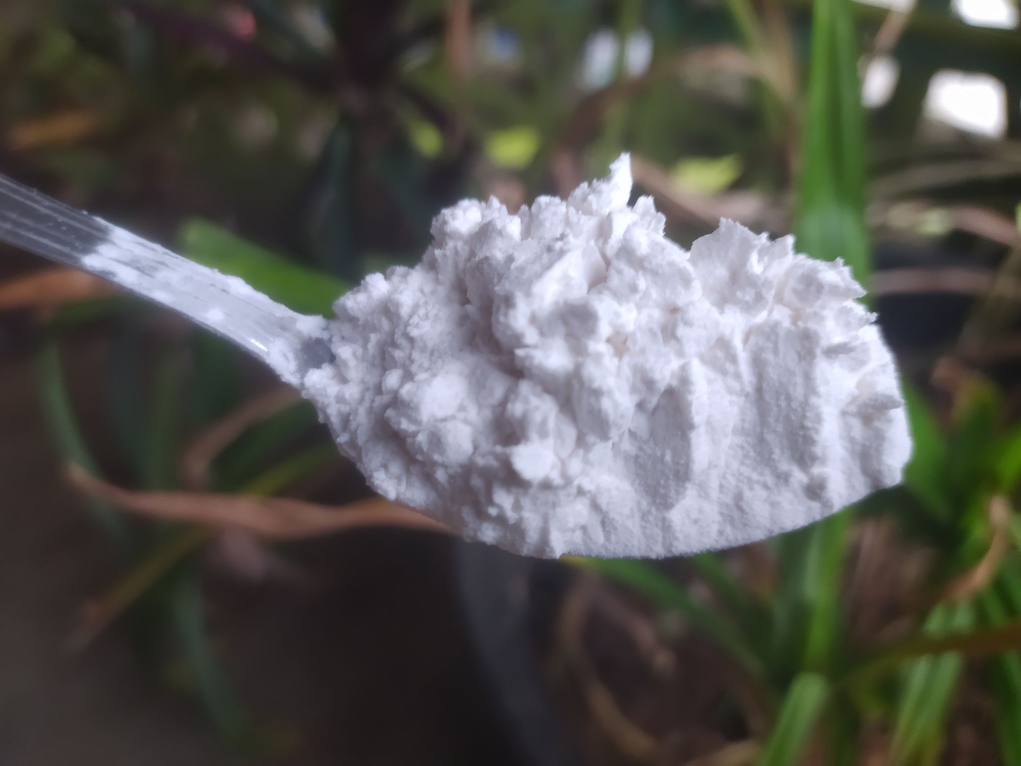 Tapioca Sun Dried | Inaexport