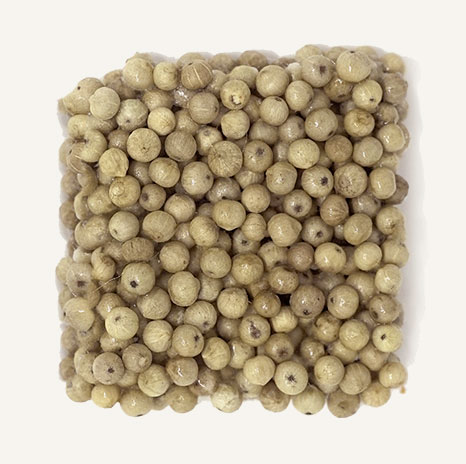 White Pepper Whole | Inaexport