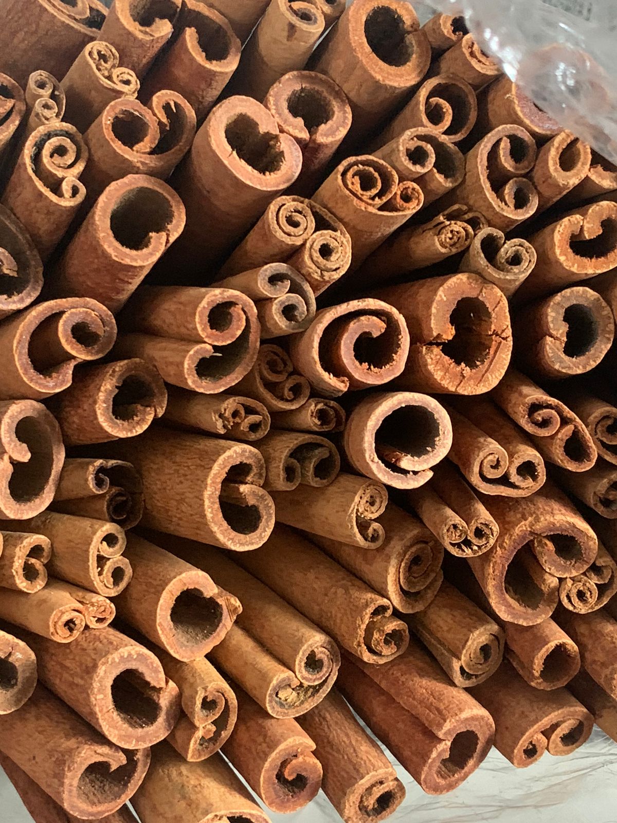 Cassia Vera Cinnamon | Inaexport